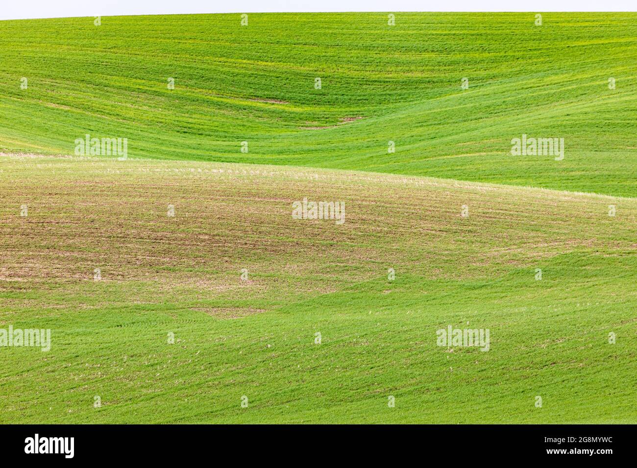 Rolling wheat fields hi-res stock photography and images - Alamy