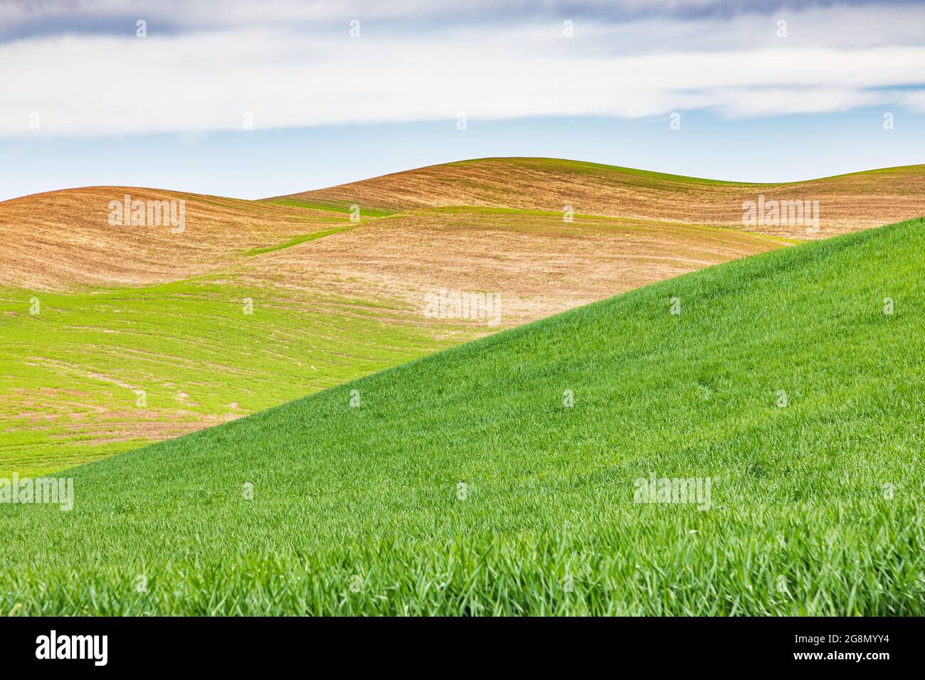 Pullman washington prairie hi-res stock photography and images - Alamy