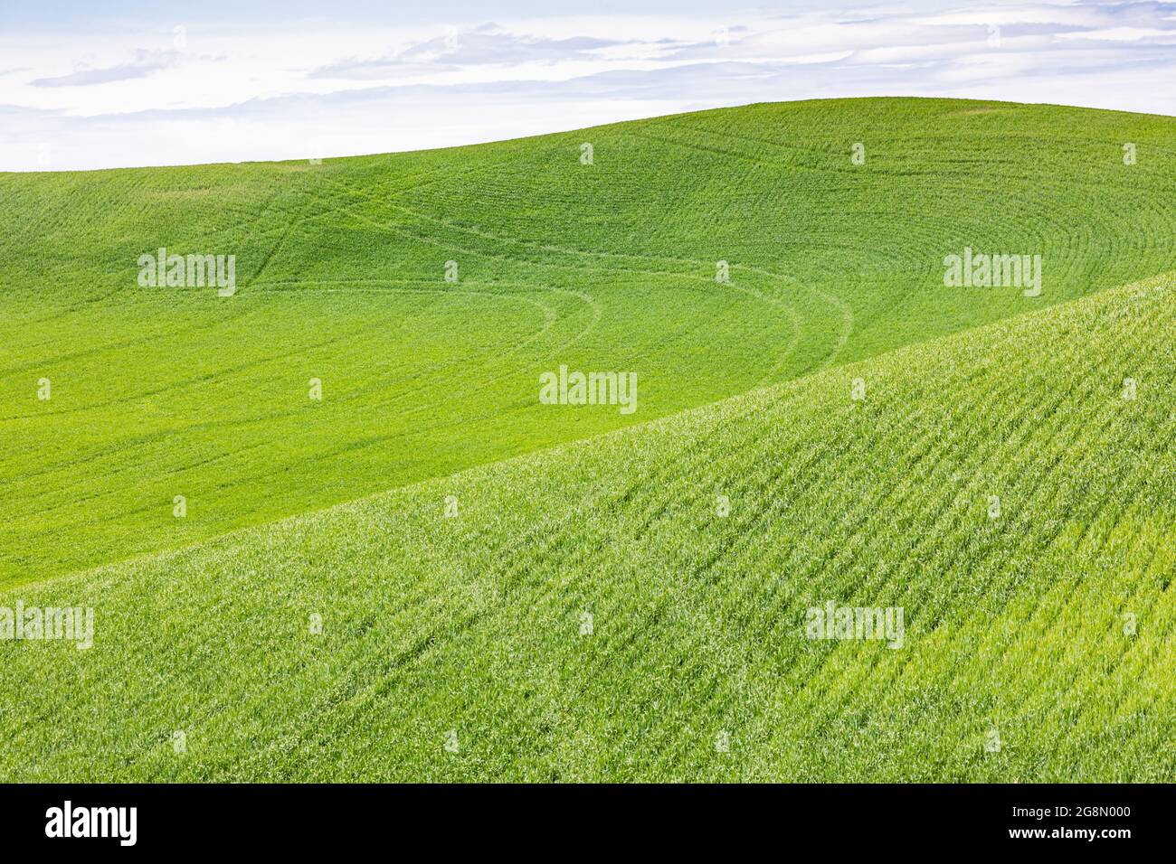Pullman washington prairie hi-res stock photography and images - Alamy