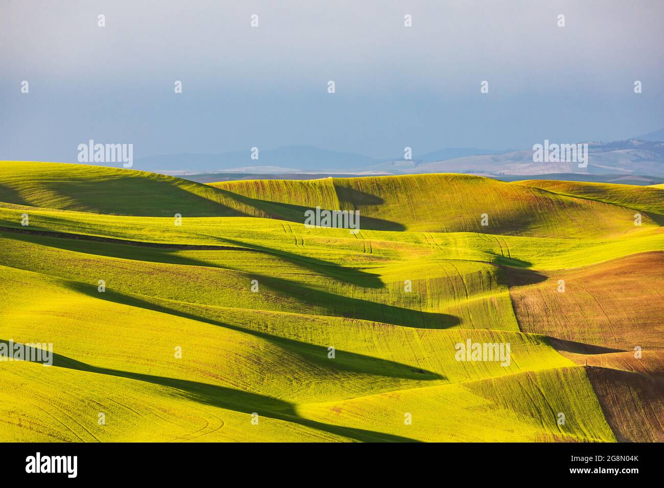 Pullman washington prairie hi-res stock photography and images - Alamy