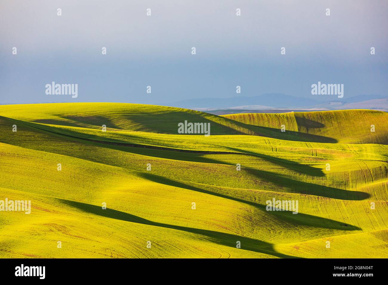 Pullman washington prairie hi-res stock photography and images - Alamy