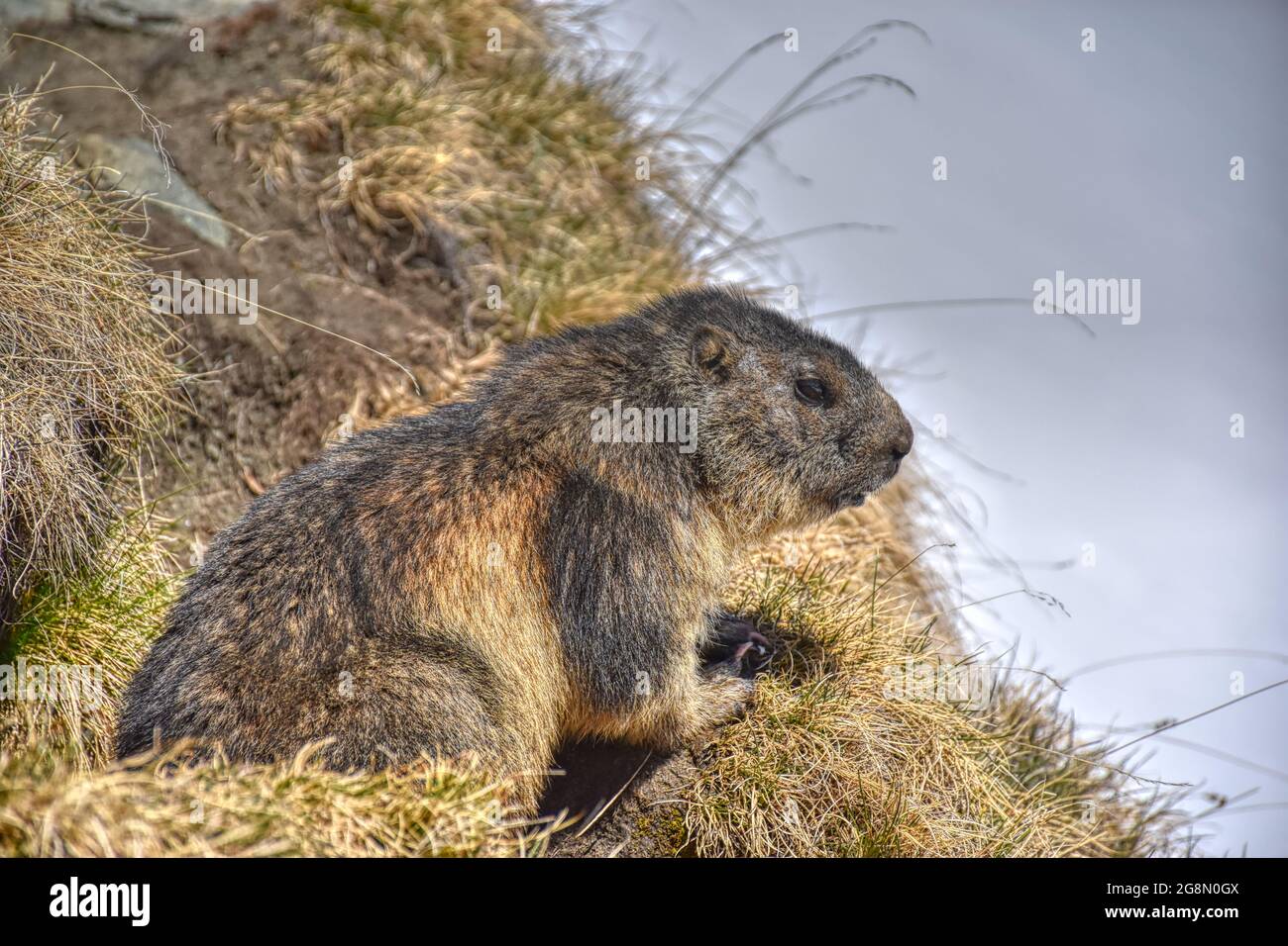 Herauslugen hi-res stock photography and images - Alamy