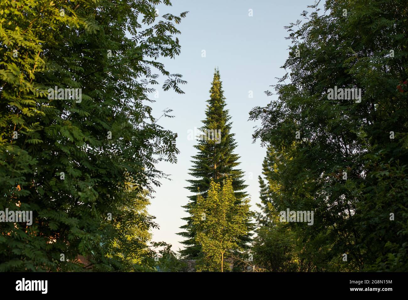 Record height hi-res stock photography and images - Alamy