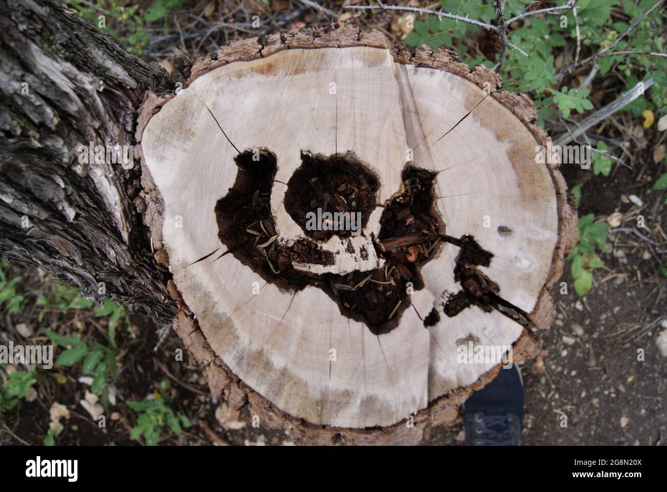 Park phorography hi-res stock photography and images - Alamy