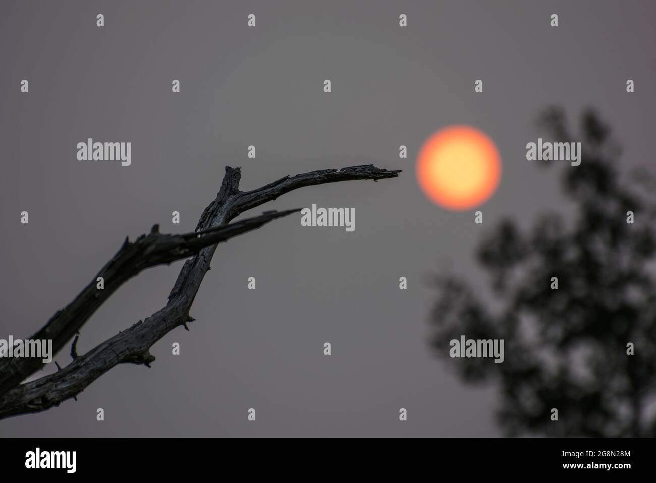 orange sun in smog Stock Photo - Alamy