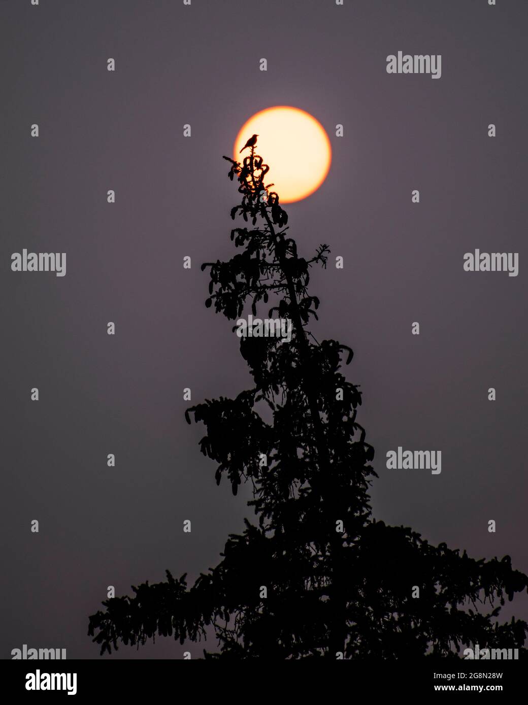 Sun and depressed hi-res stock photography and images - Alamy