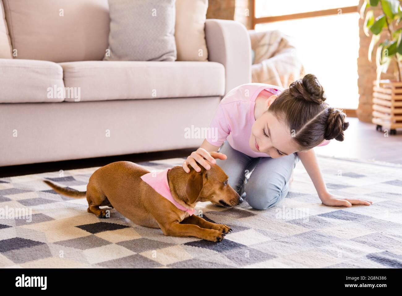 Portrait of attractive cheery affectionate preteen girl caressing doggy ...