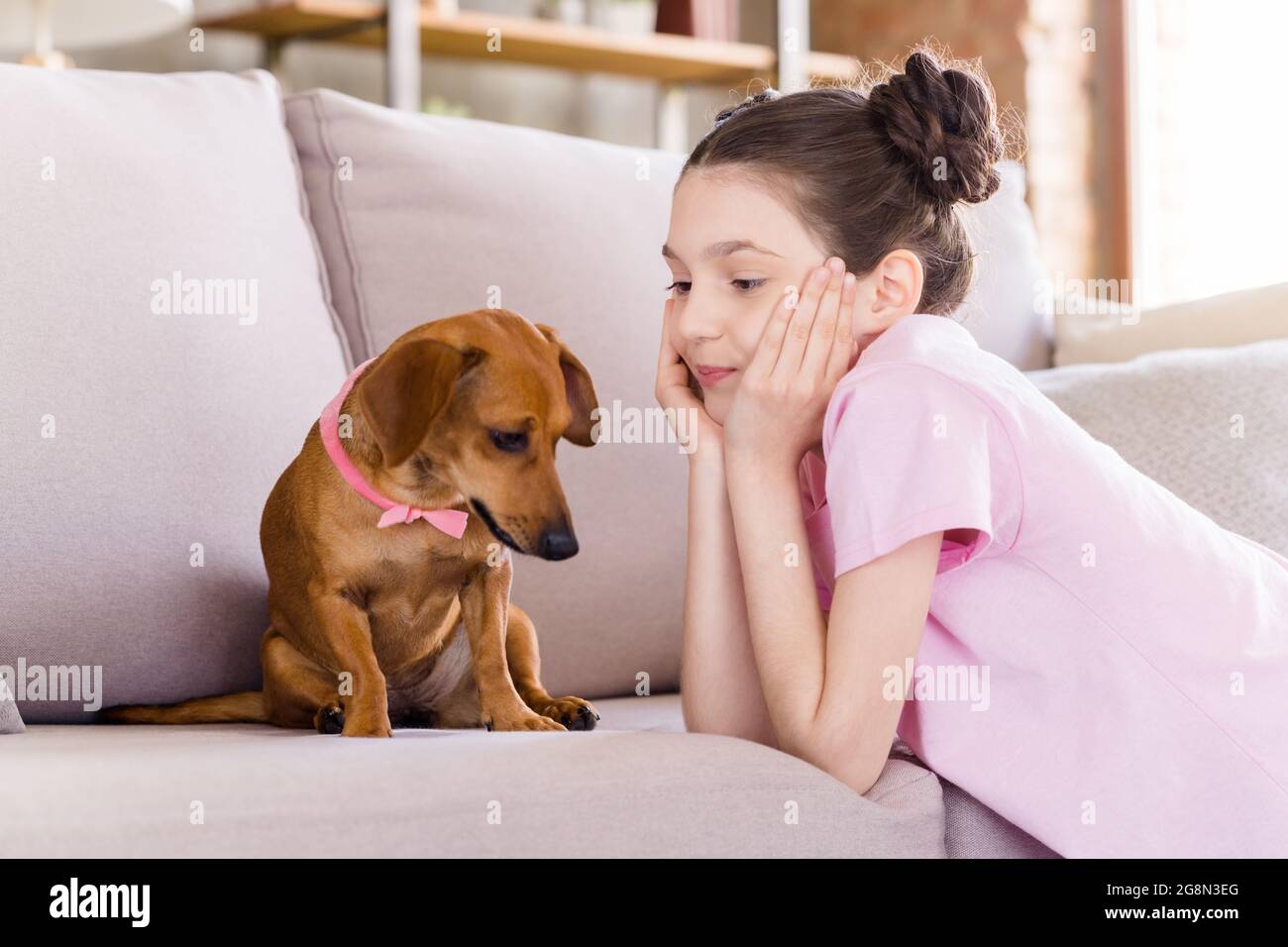 Portrait of attractive cheery preteen girl playing with doggy sitting ...