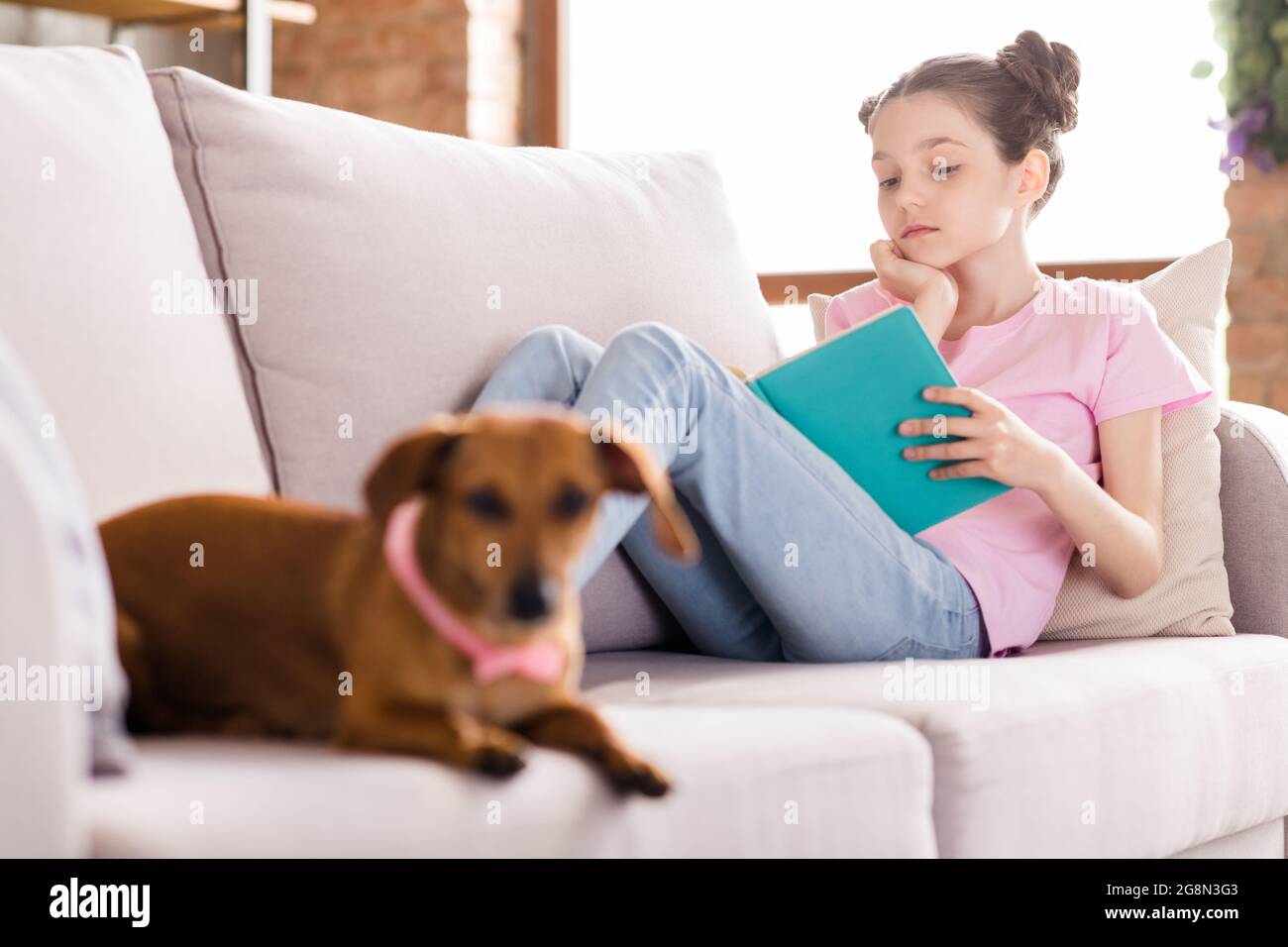 Portrait of attractive focused preteen girl reading interesting book ...