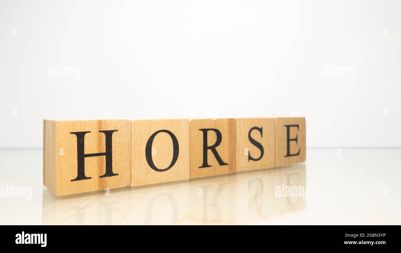 Equestrian word hi-res stock photography and images - Alamy