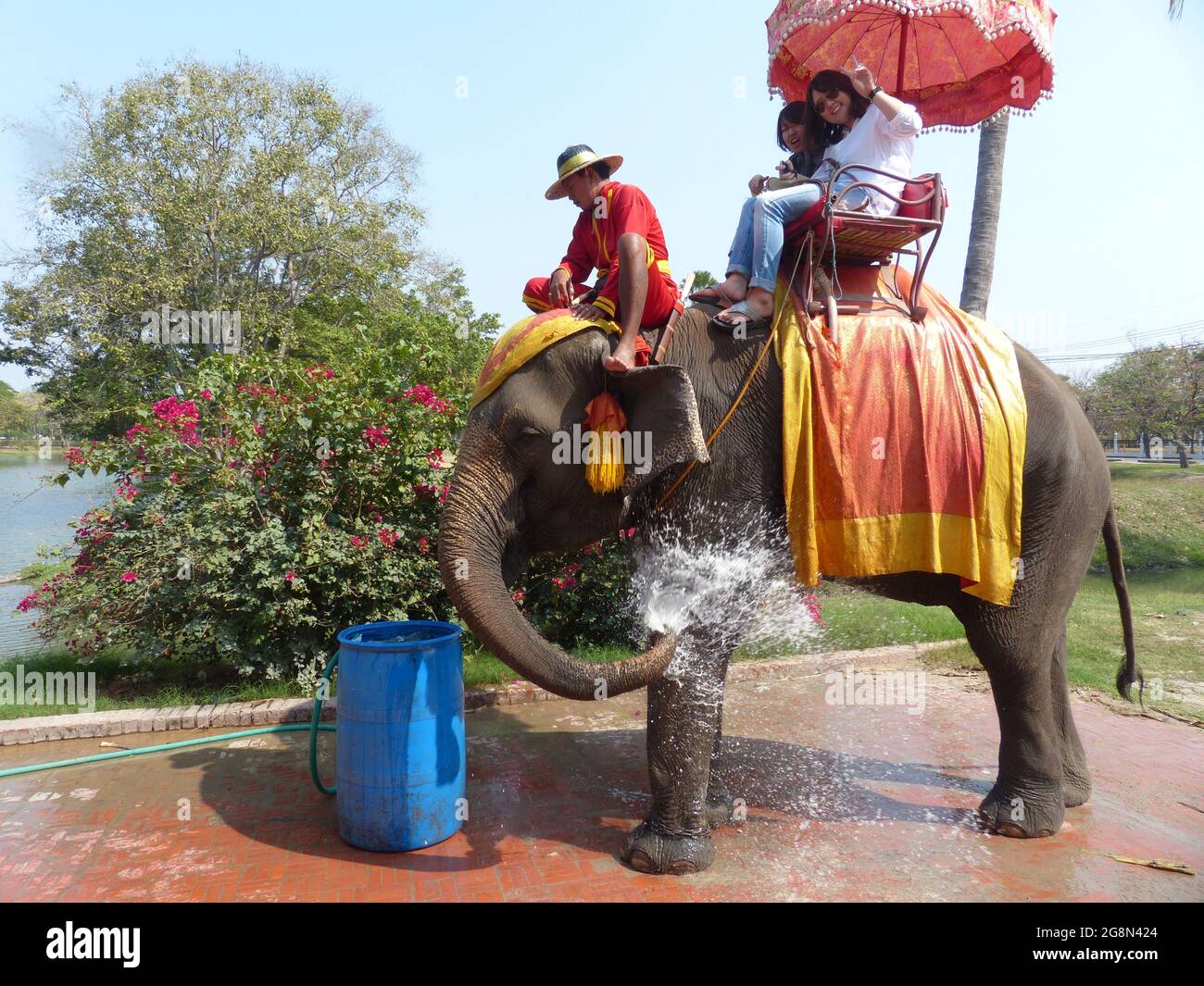 Ayutthaya, Thailand, Siamese kingdom, elephant spraying himself with ...