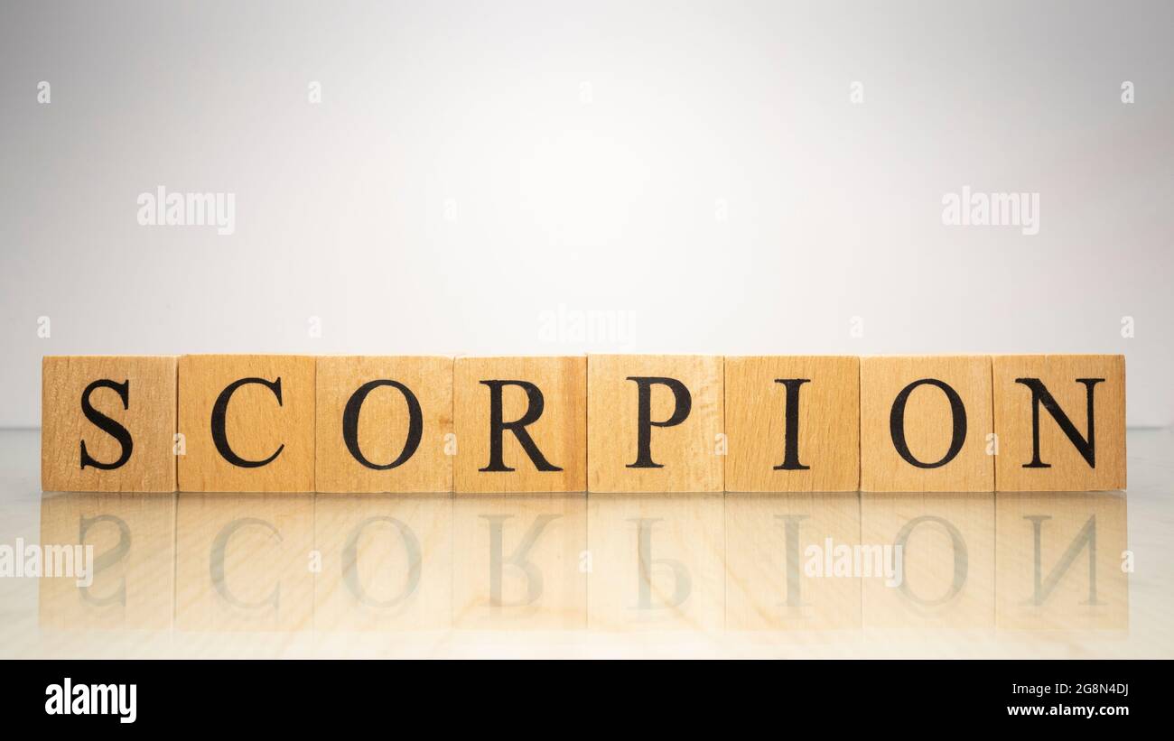 The name Scorpion was created from wooden letter cubes. insects and ...