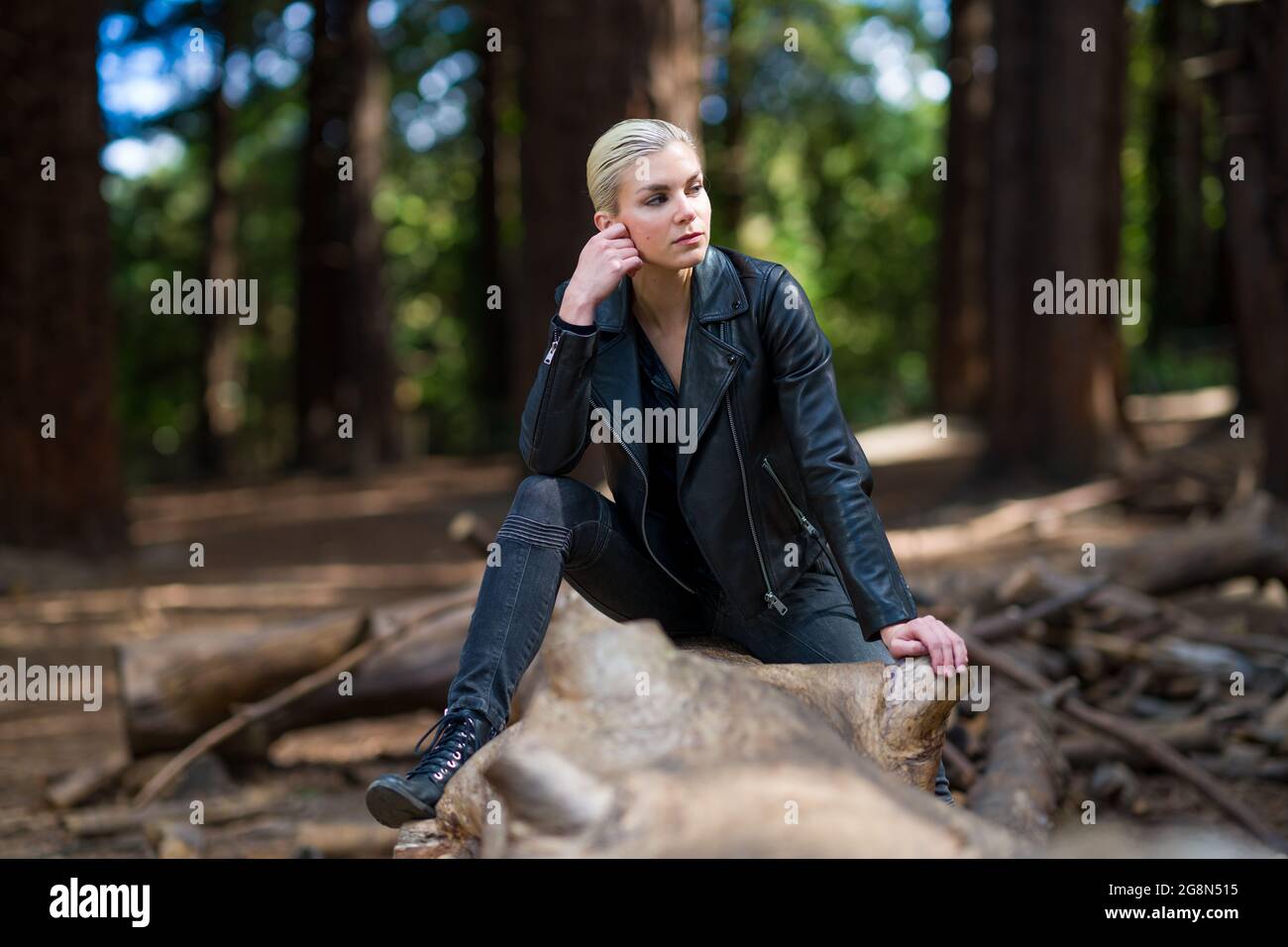 Young woman on large fallen redwood log in redwood grove Stock Photo ...