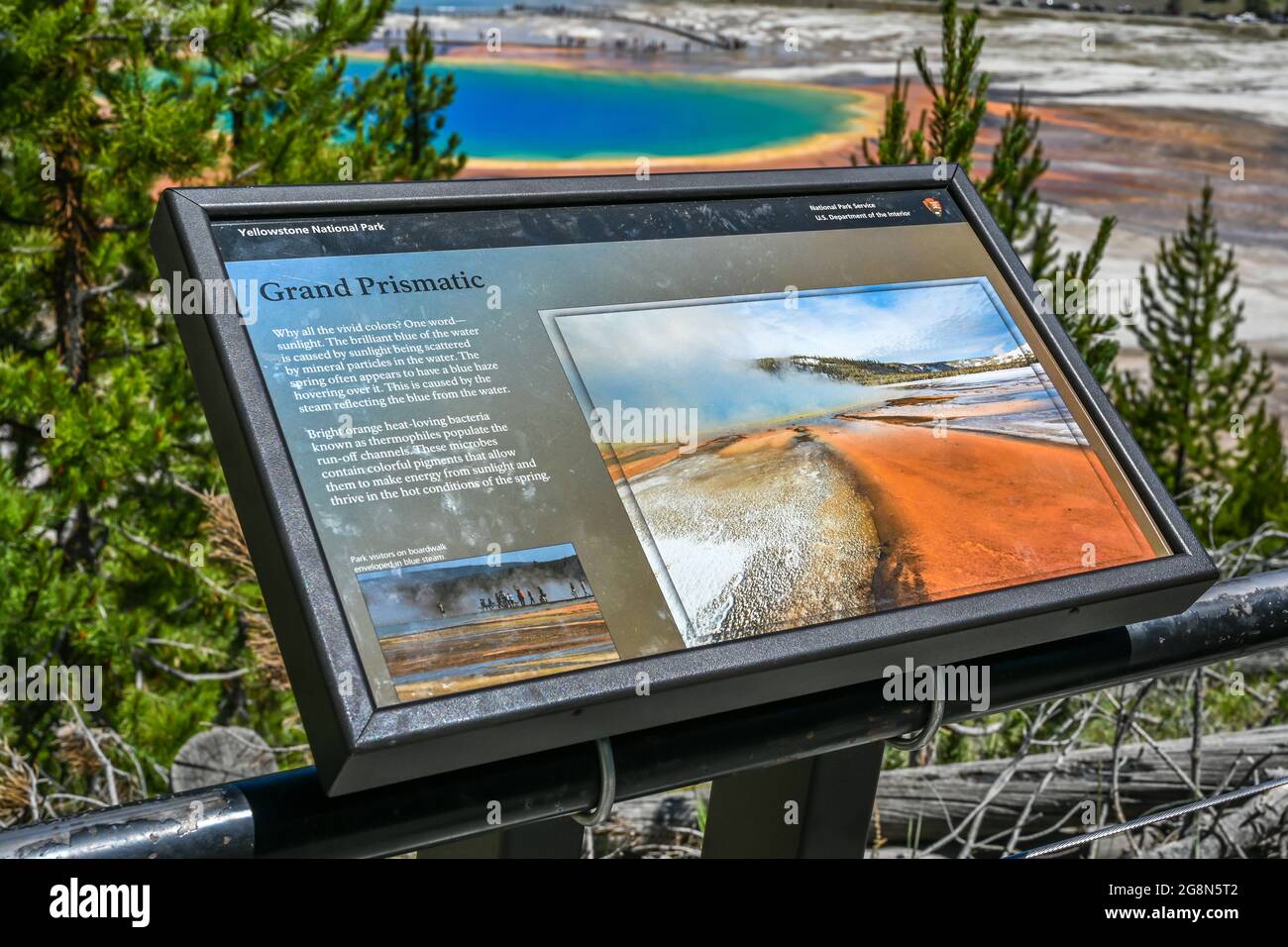 Yellowstone NP, WY, USA - July 11, 2020: The Grand Pristmatic Spring ...