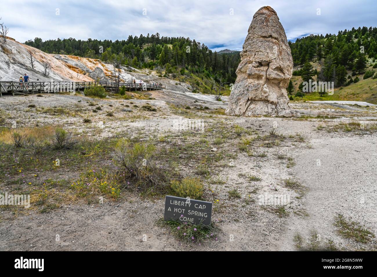 Yellowstone np wy usa hi-res stock photography and images - Alamy