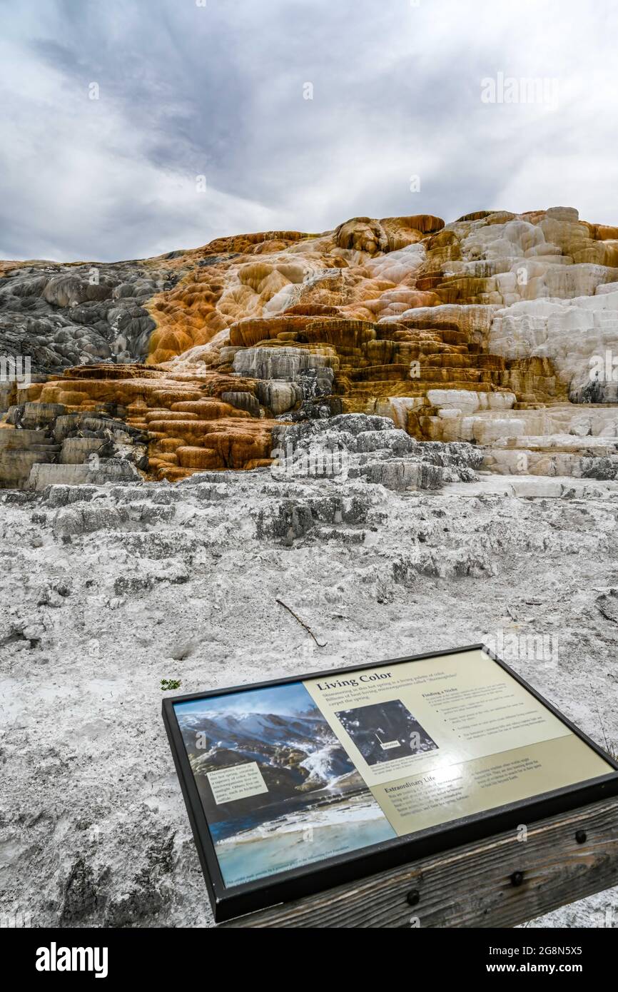 Yellowstone NP, WY, USA - August 8, 2020: The Living Palette of Color ...