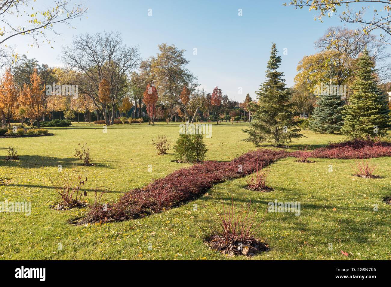 Ukraine tree hi-res stock photography and images - Alamy