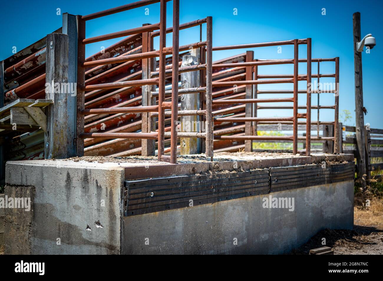 Midwest dairy cattle hi-res stock photography and images - Alamy