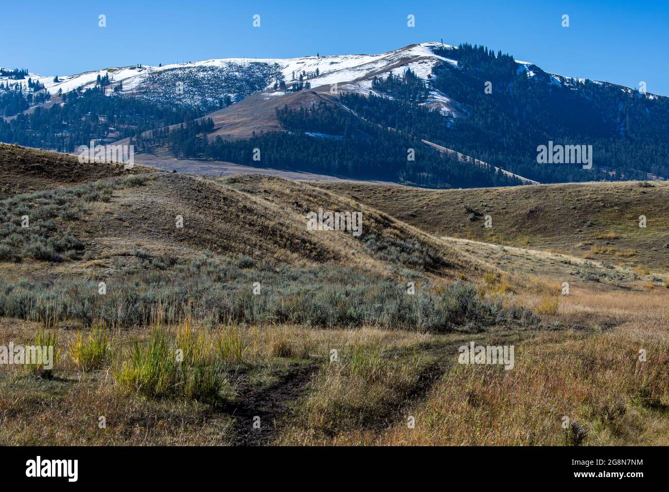 Scenic mountains in Yellowstone National Park Stock Photo - Alamy