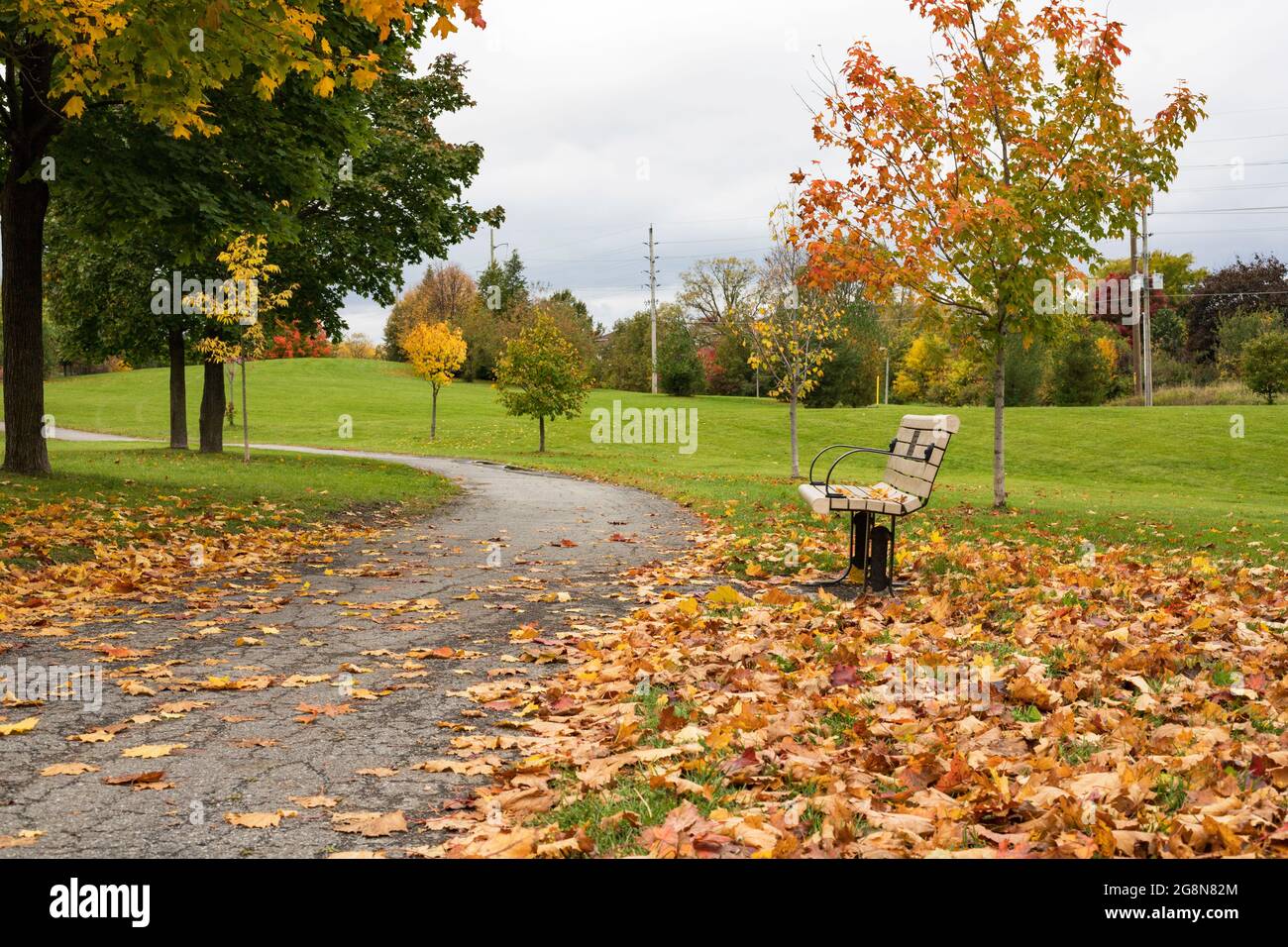 Autumn in the park. Fallen leaves from trees near bench and road in a ...