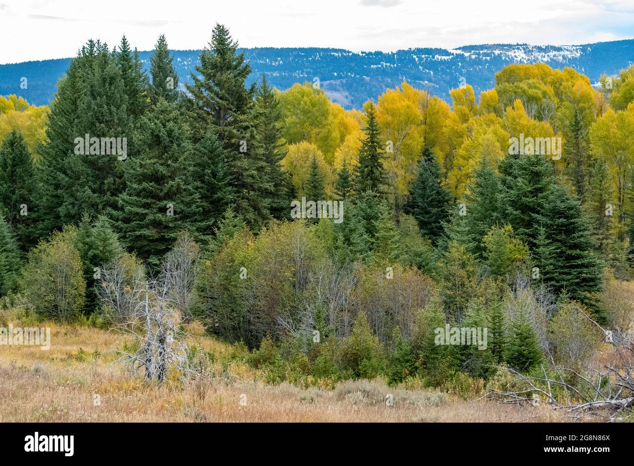 Autumn in Yellowstone National Park Stock Photo - Alamy