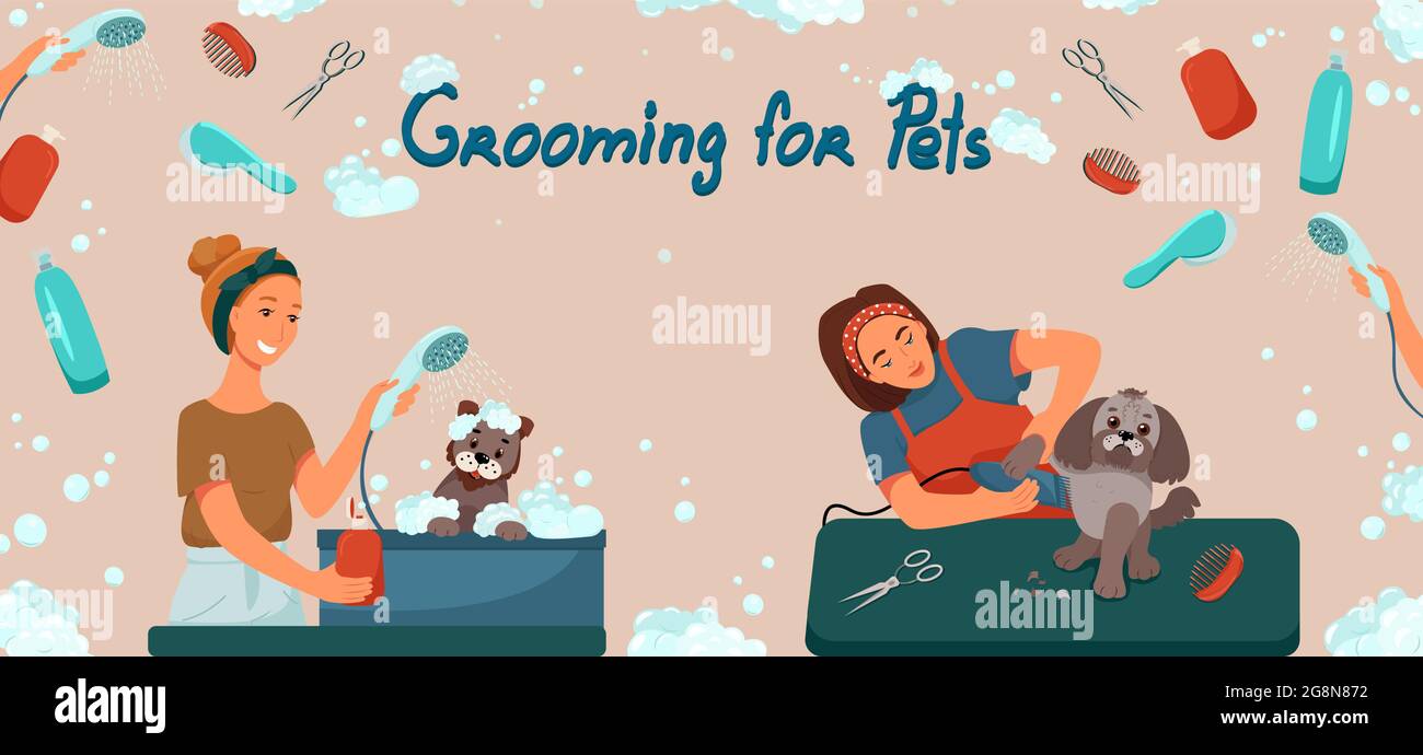 Grooming for pets banner. Salon for dogs. Template for web page design ...