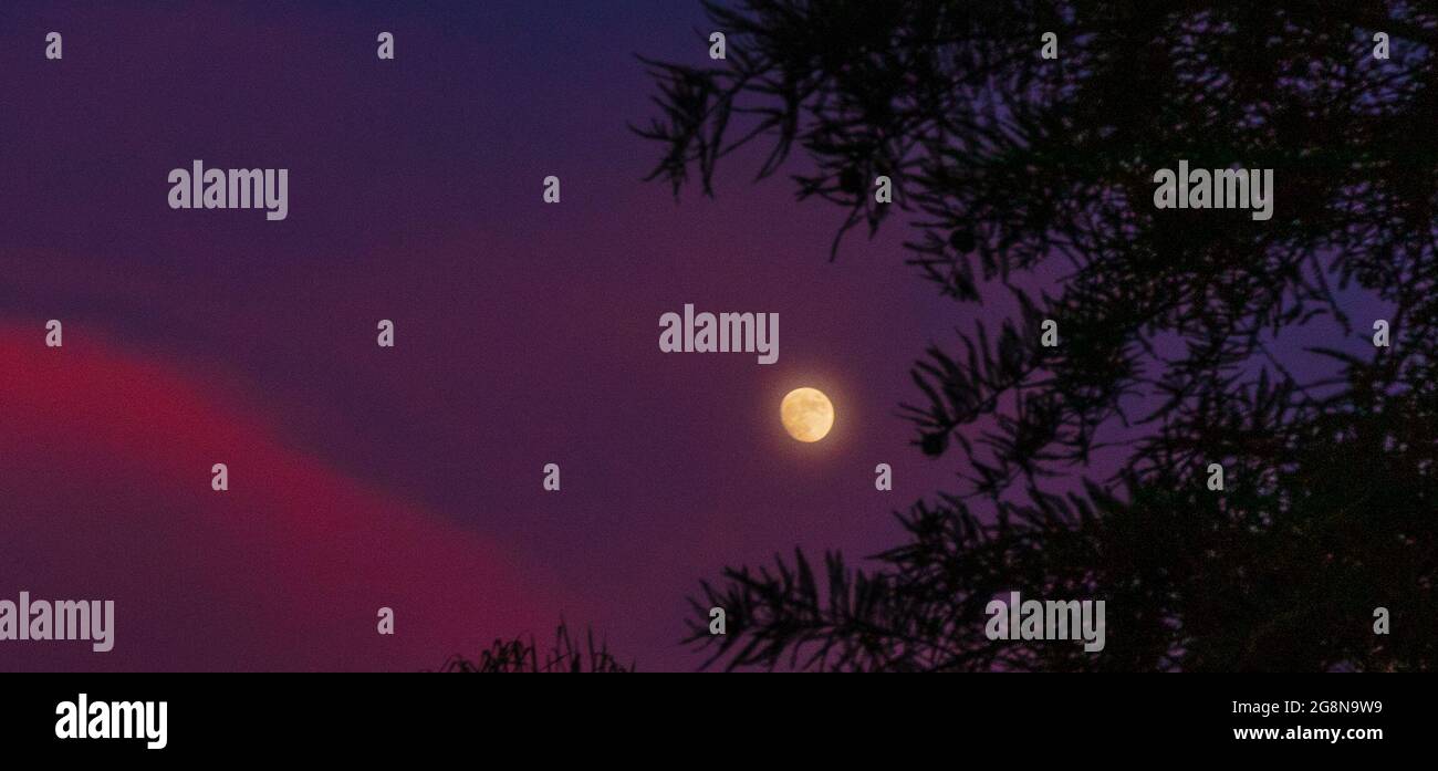 July 21, 2021: The full buck moon in San Diego, California on Wednesday ...