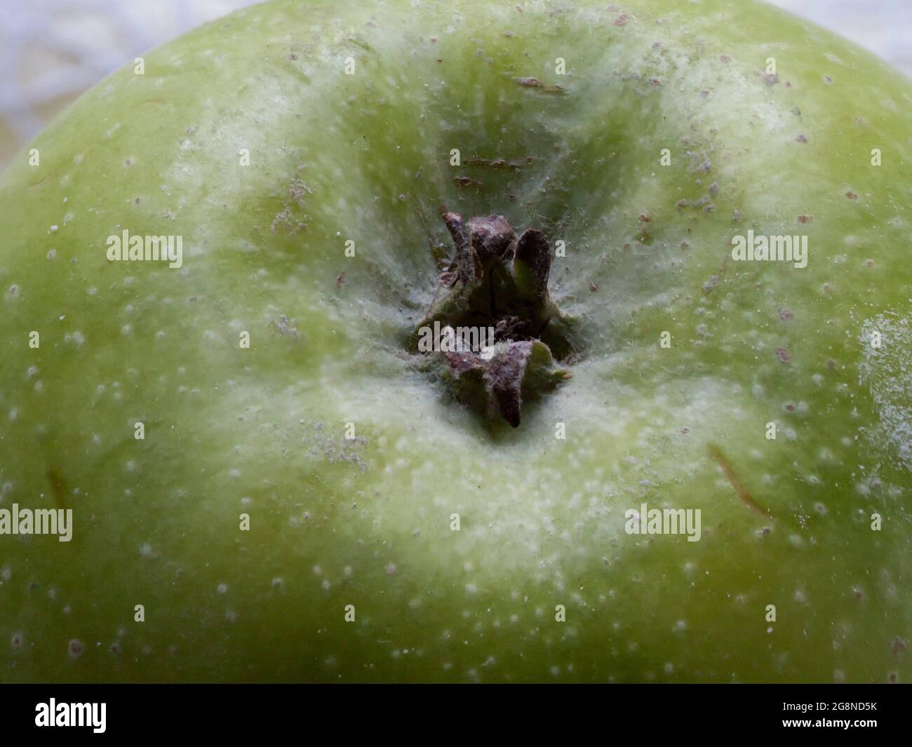 One green apple, close-up. Apple peel texture Stock Photo - Alamy