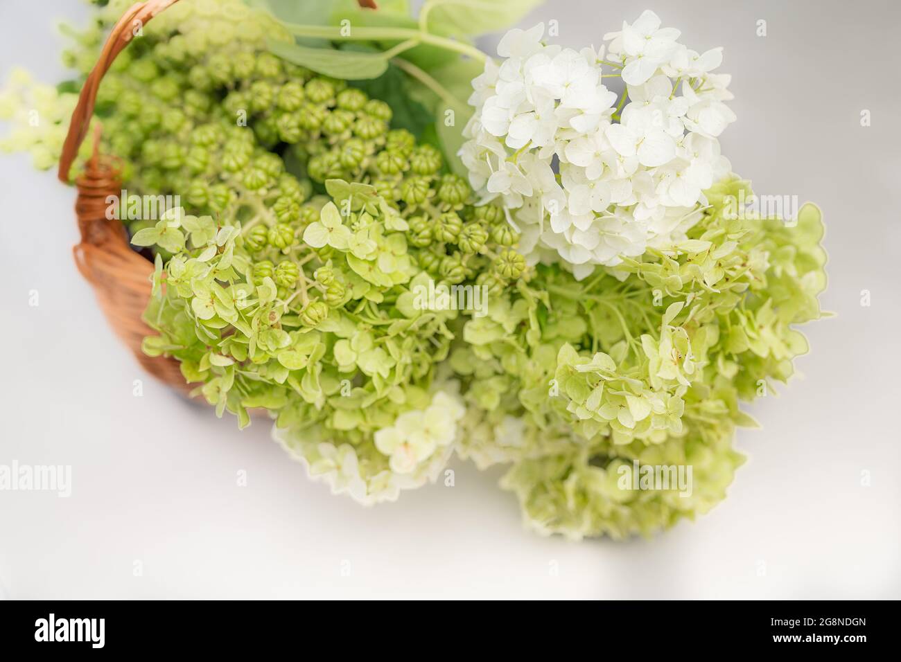 Hydrangea bouquet in a basket Stock Photo - Alamy