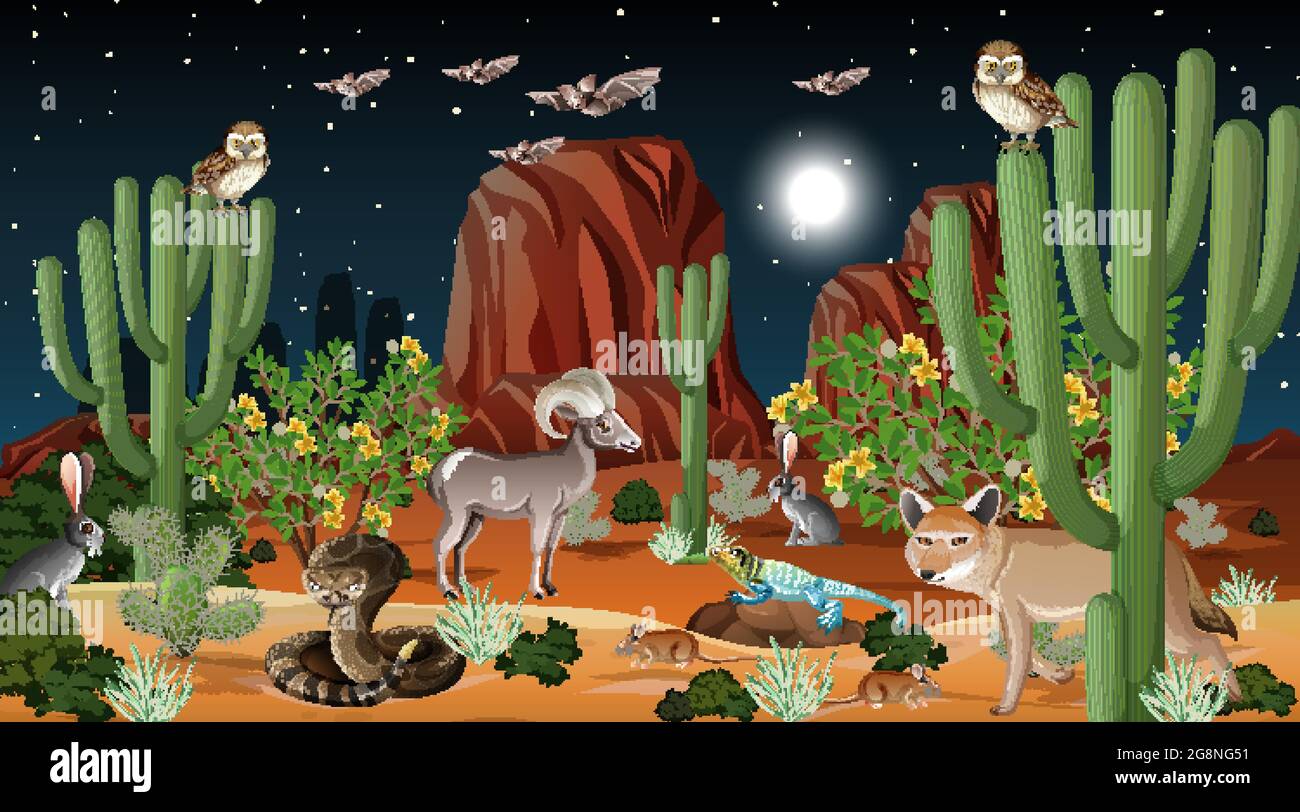 Desert forest landscape at night scene with wild animals illustration Stock Vector Image & Art ...