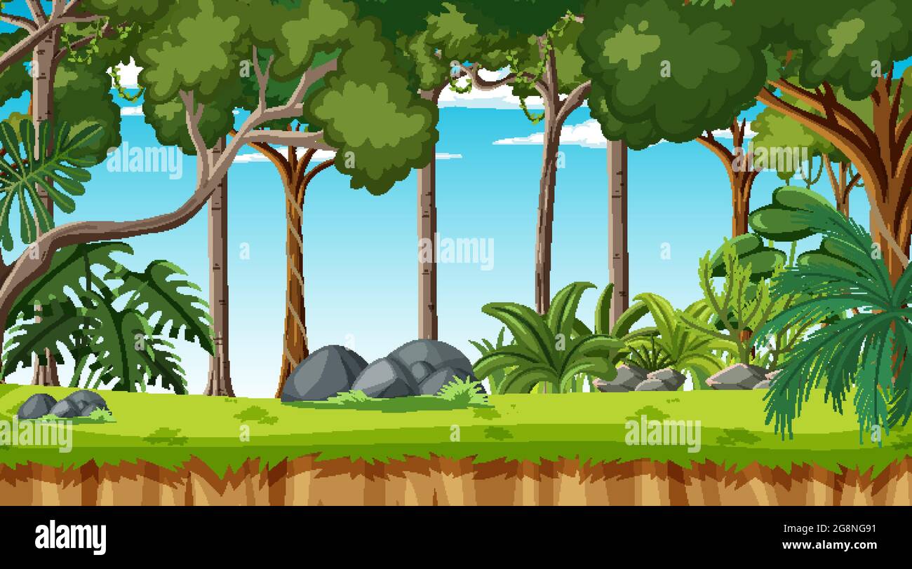 Forest landscape scene at day time with many different trees ...