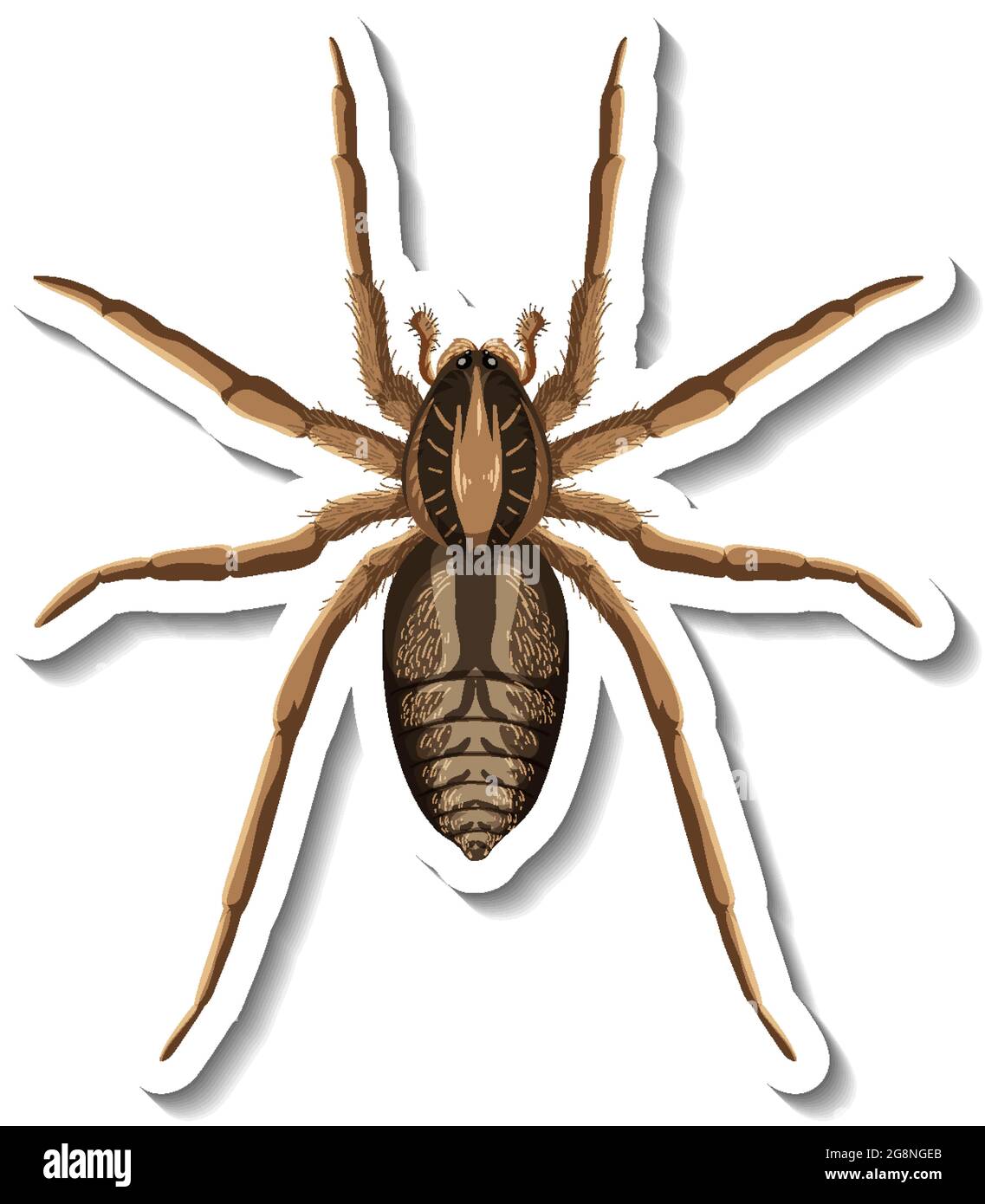 A sticker template with top view of a spider isolated illustration ...