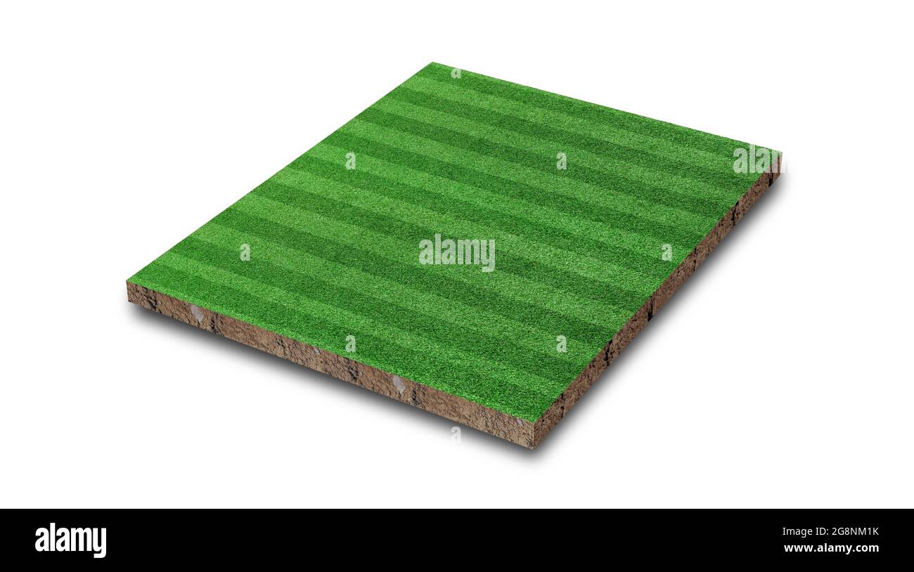 3D Rendering. Stripe grass soccer field, Green lawn football field ...
