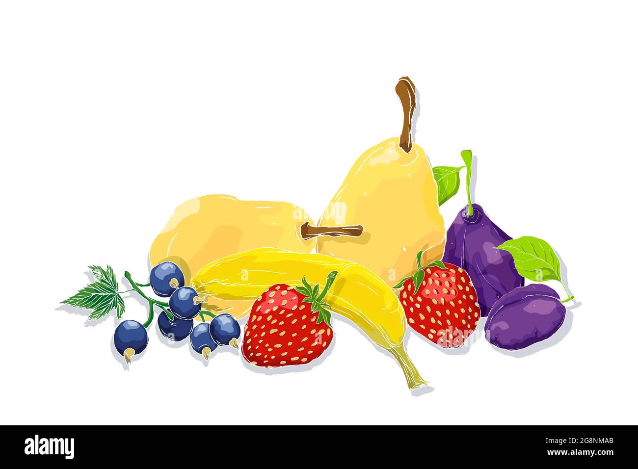 Still life of fruit, watercolor like vector illustration over white ...