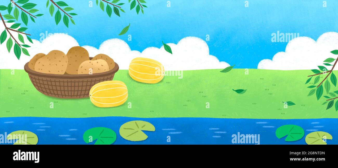 potatoes and oriental Korean melon in summer field Stock Photo - Alamy