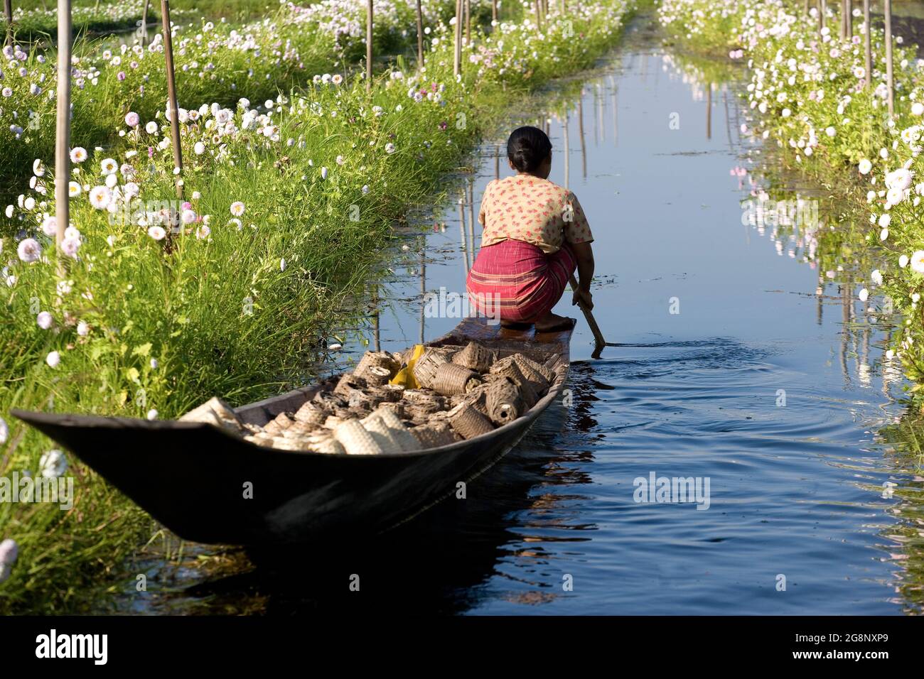 Floating gardens, Inle Lake, Nyaungshwe Township of Taunggyi District ...