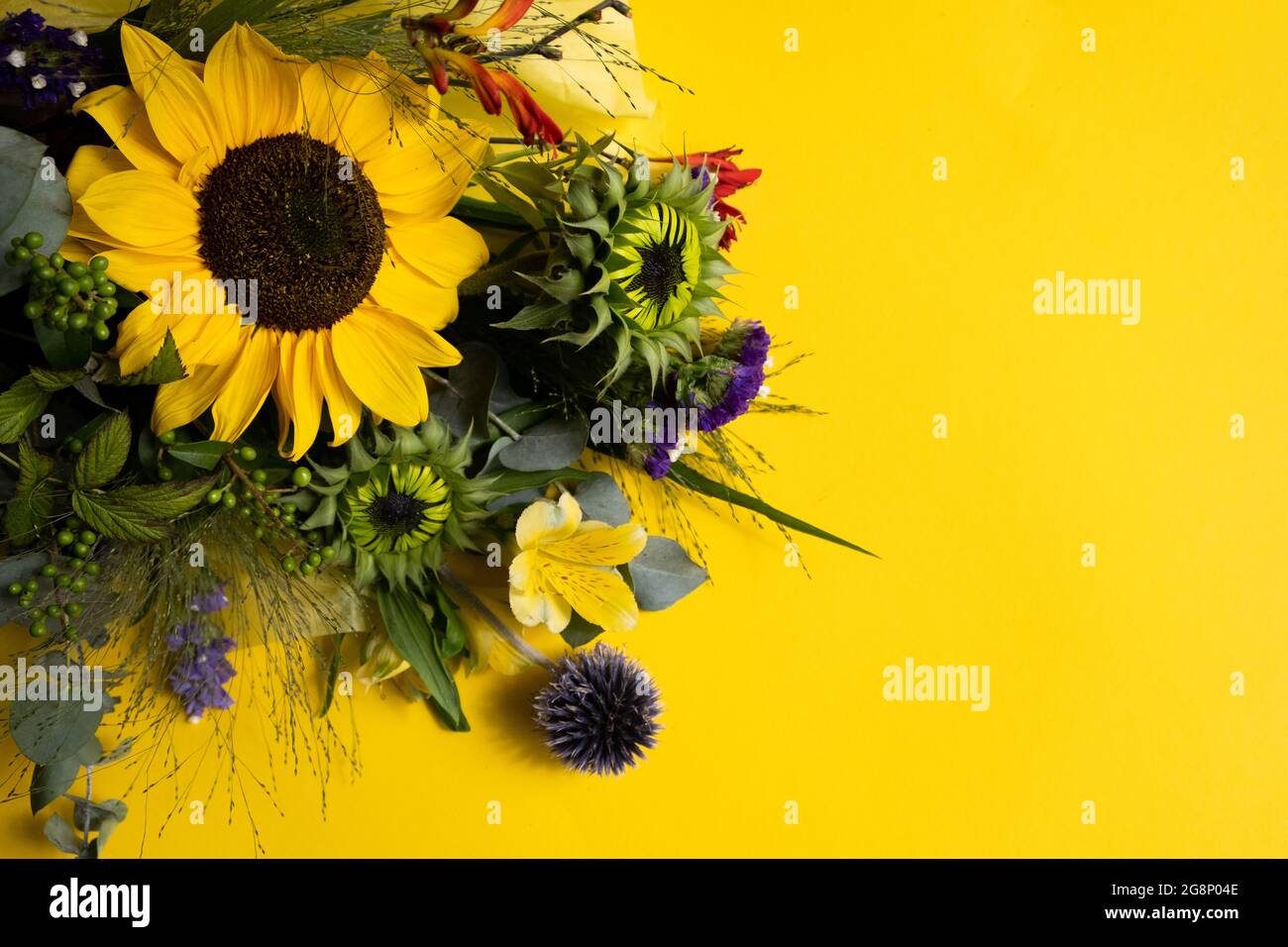 Fresh sunflowers in bouquet with copy space Stock Photo - Alamy