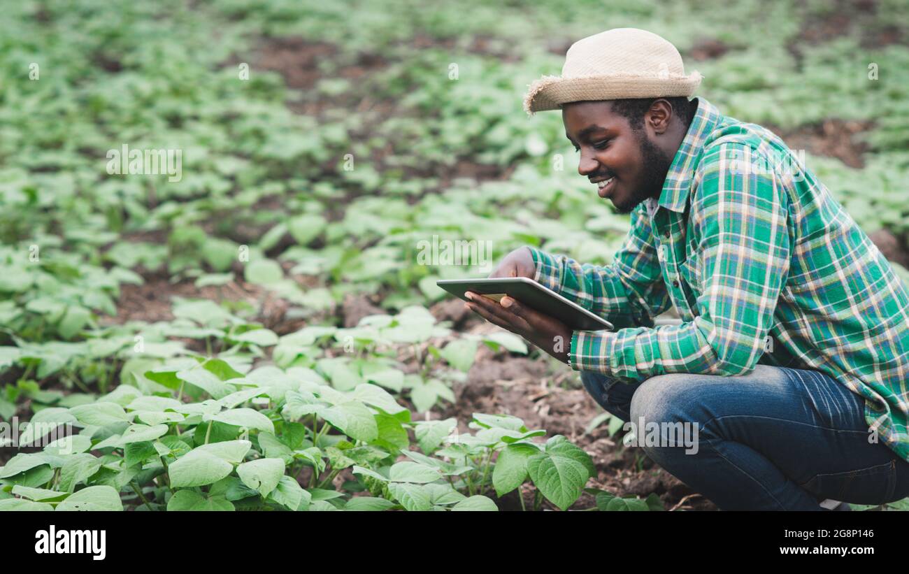 African american farmer technology hi-res stock photography and images ...