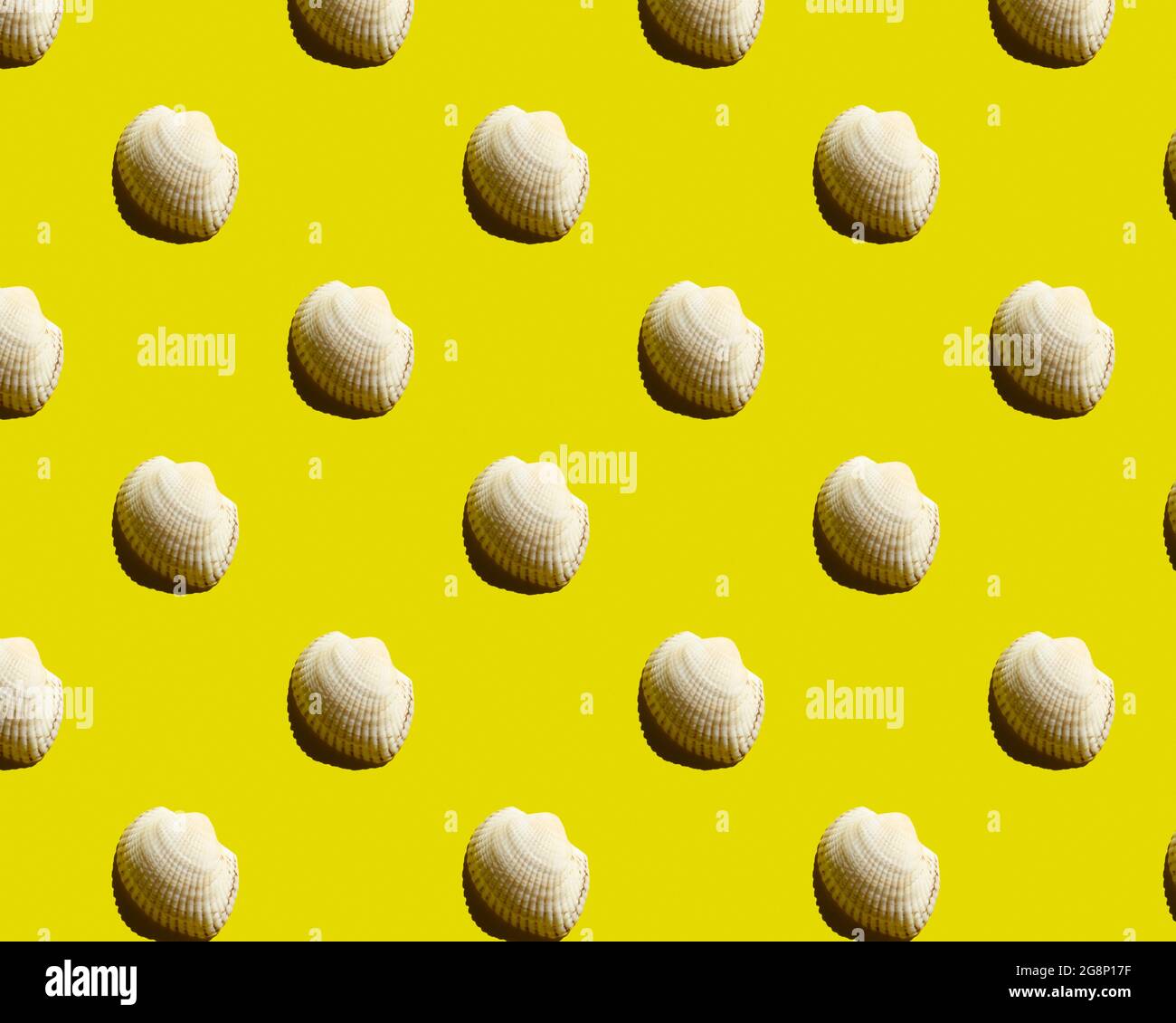 seashell on yellow background pattern Stock Photo - Alamy