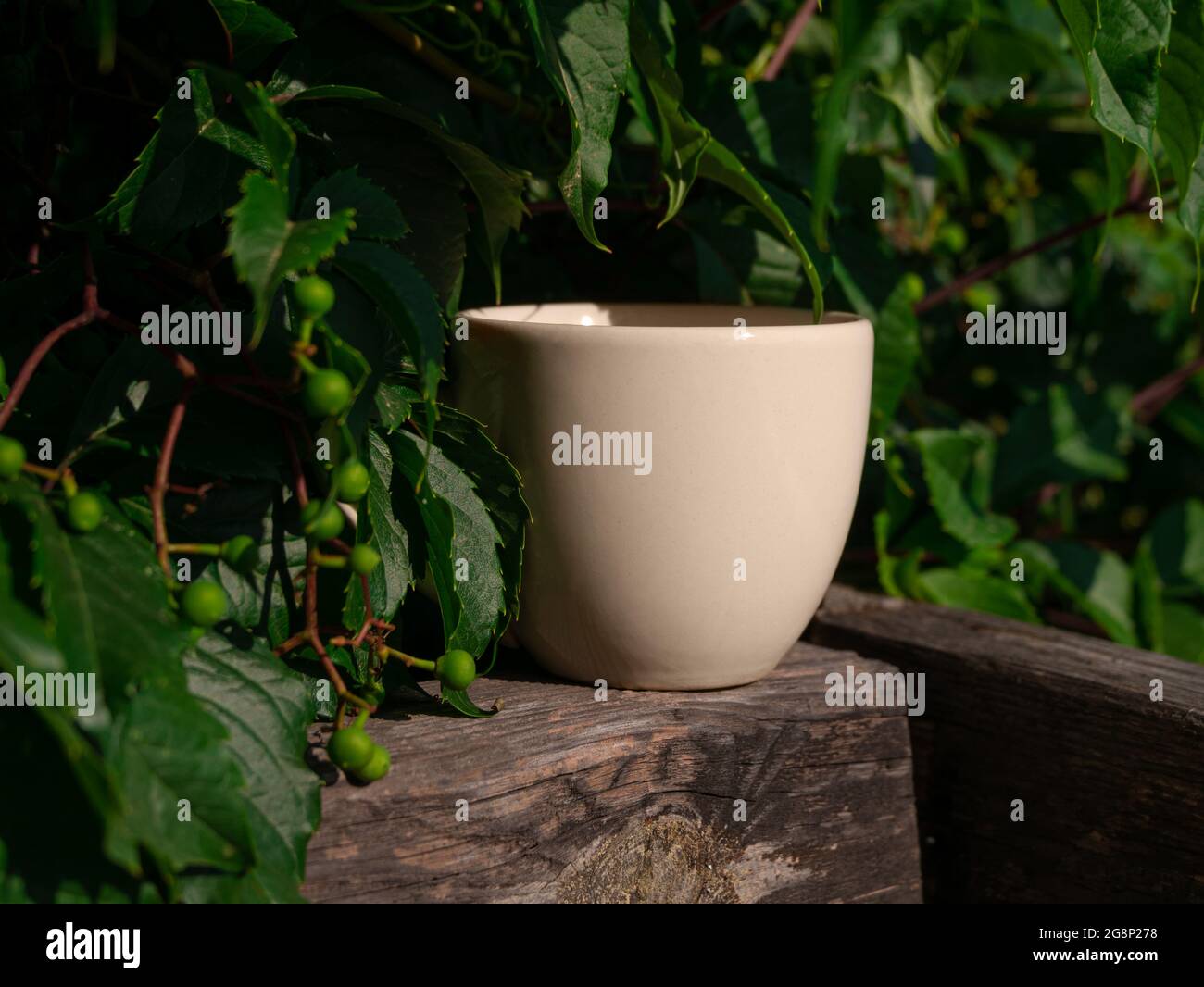 Country sityle hi-res stock photography and images - Alamy