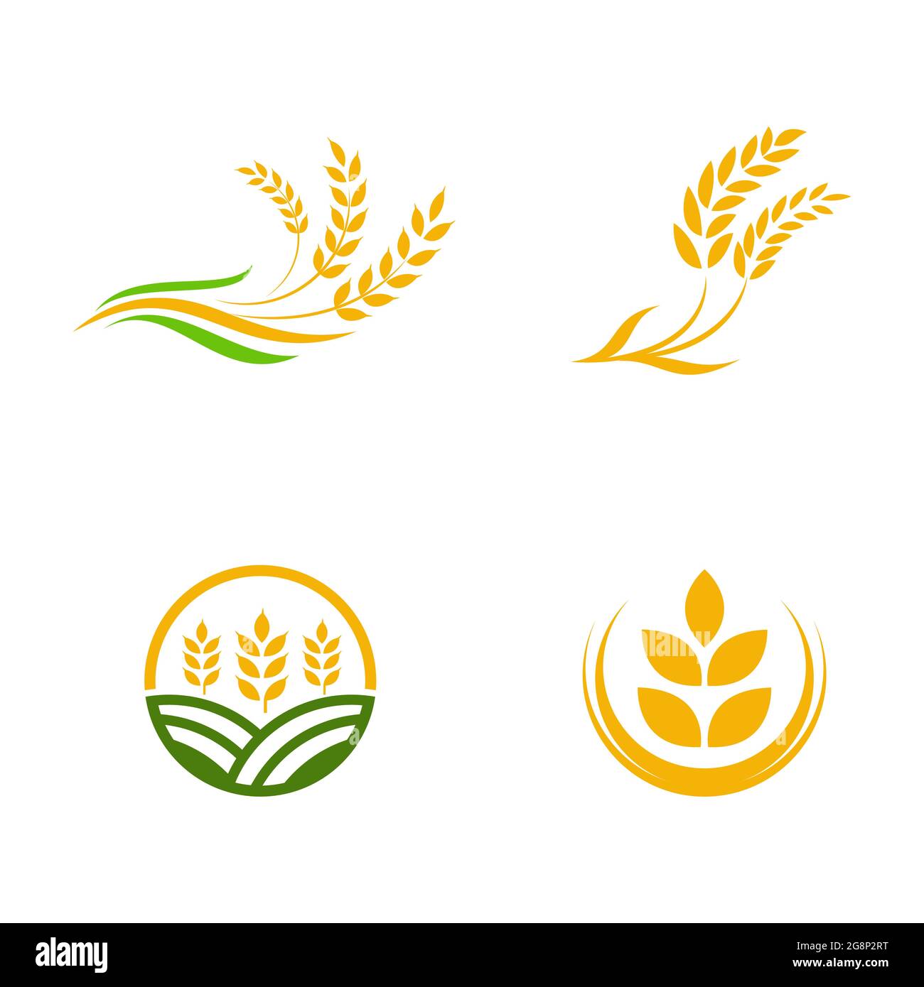 Agriculture wheat rice vector icon design template Stock Vector Image ...