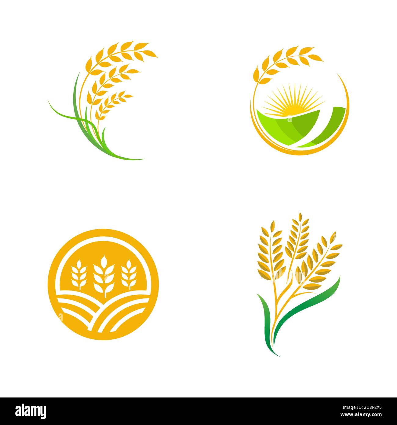 Agriculture wheat rice vector icon design template Stock Vector Image ...