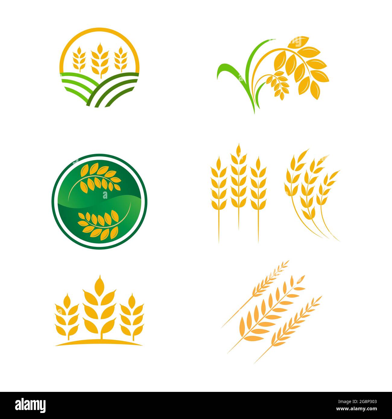 Agriculture wheat rice vector icon design template Stock Vector Image ...