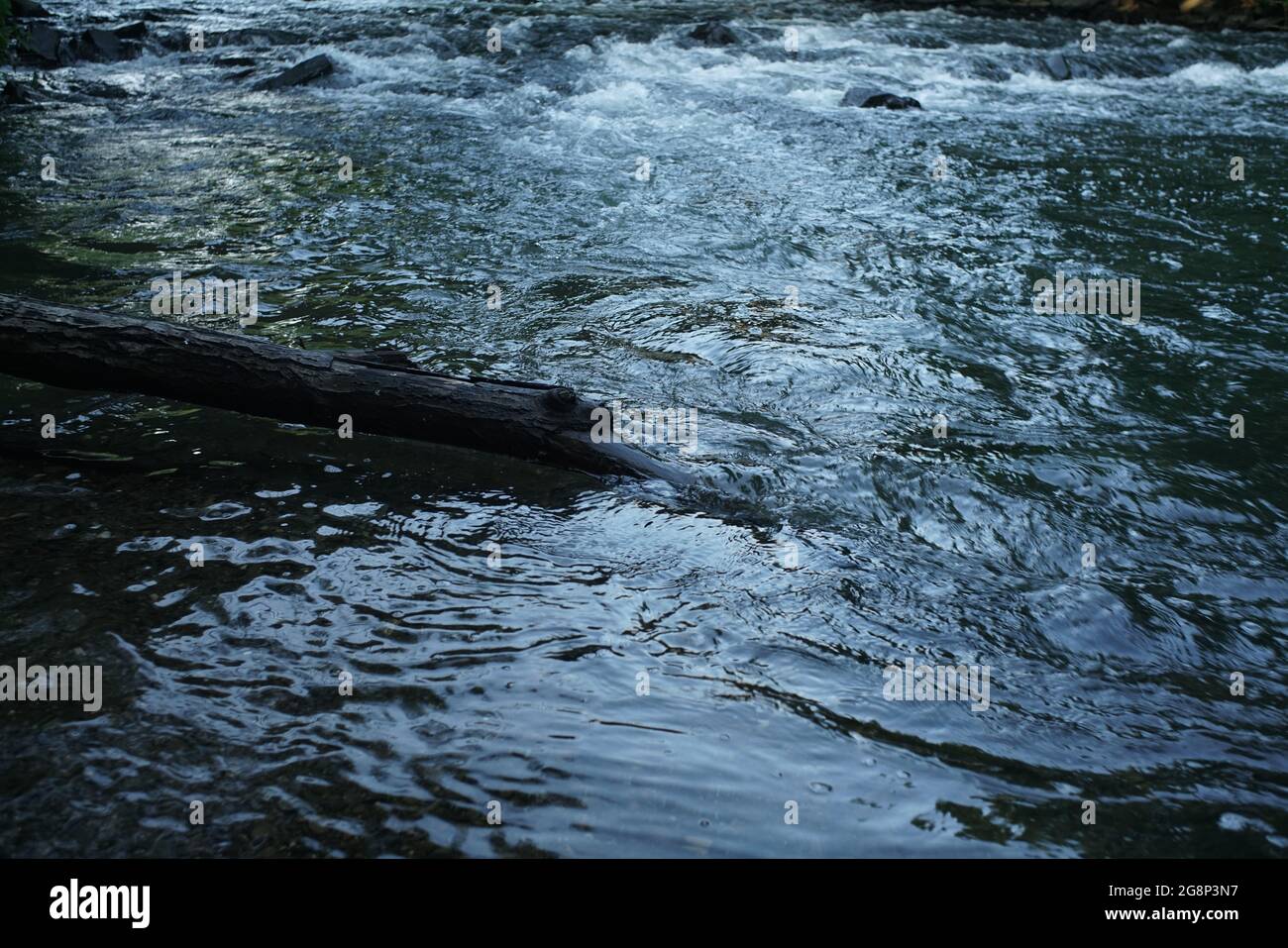 River landscape with natural environment besides serving an intact ...