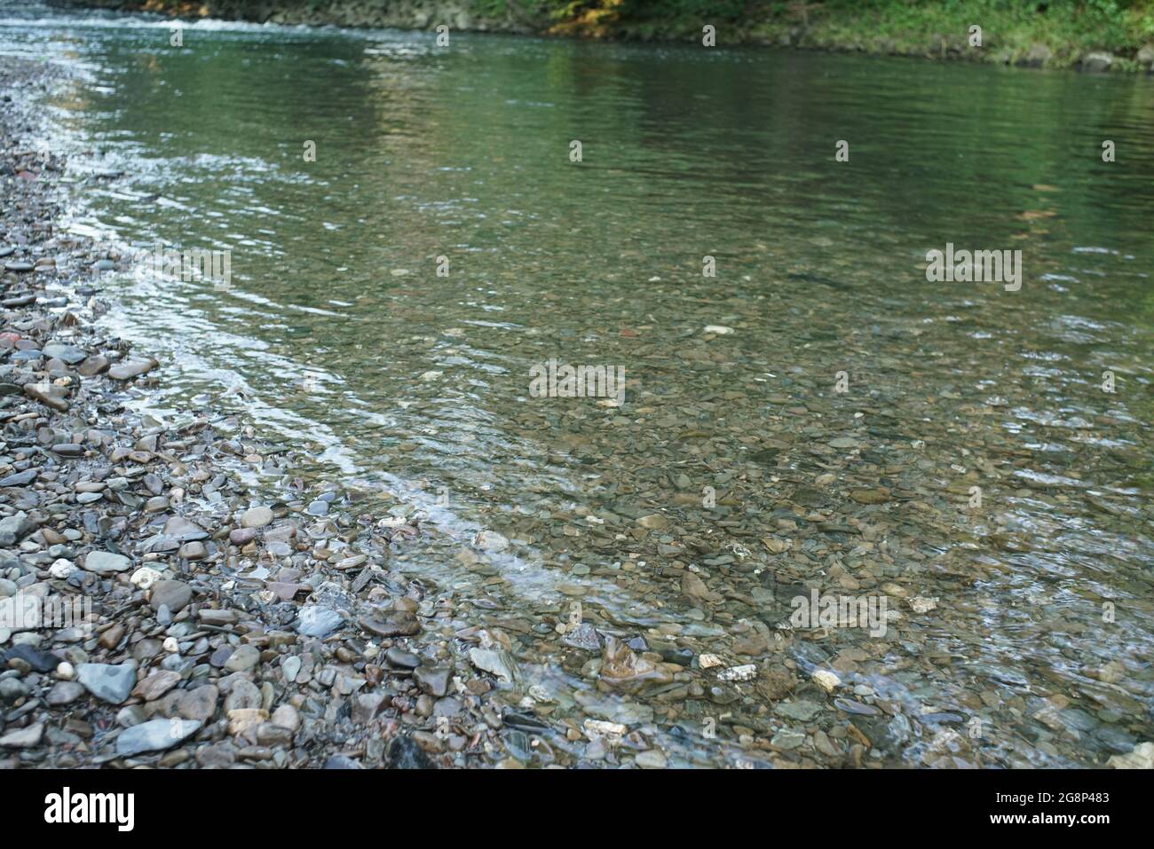 River landscape with natural environment besides serving an intact ...