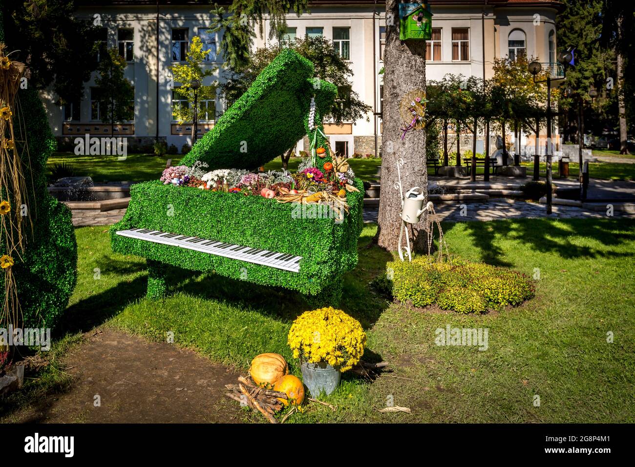 Green leaves grand piano and autumn landscape design in the garden ...