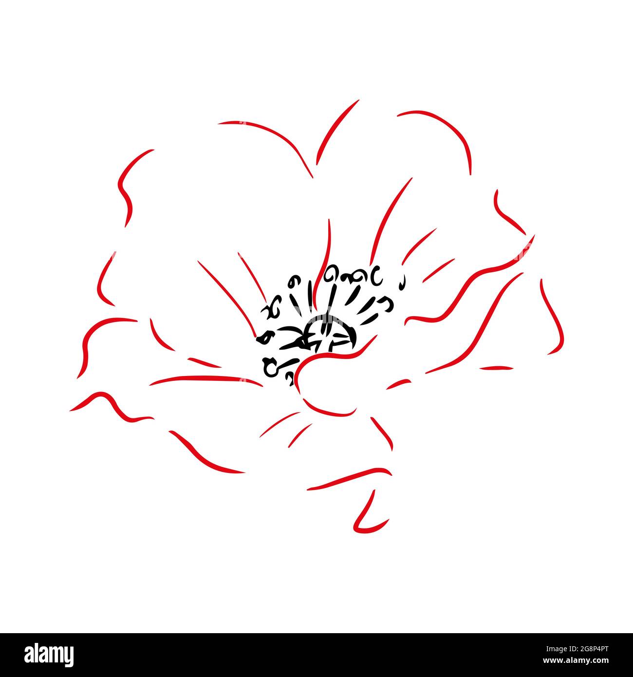 Poppy hand drawn illustration. Line art. Isolated on white background ...