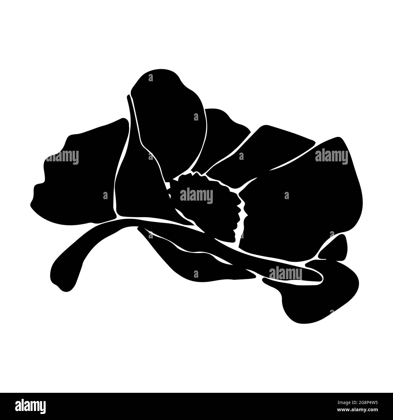 Poppy hand drawn illustration. Silhouette. Isolated on white background ...