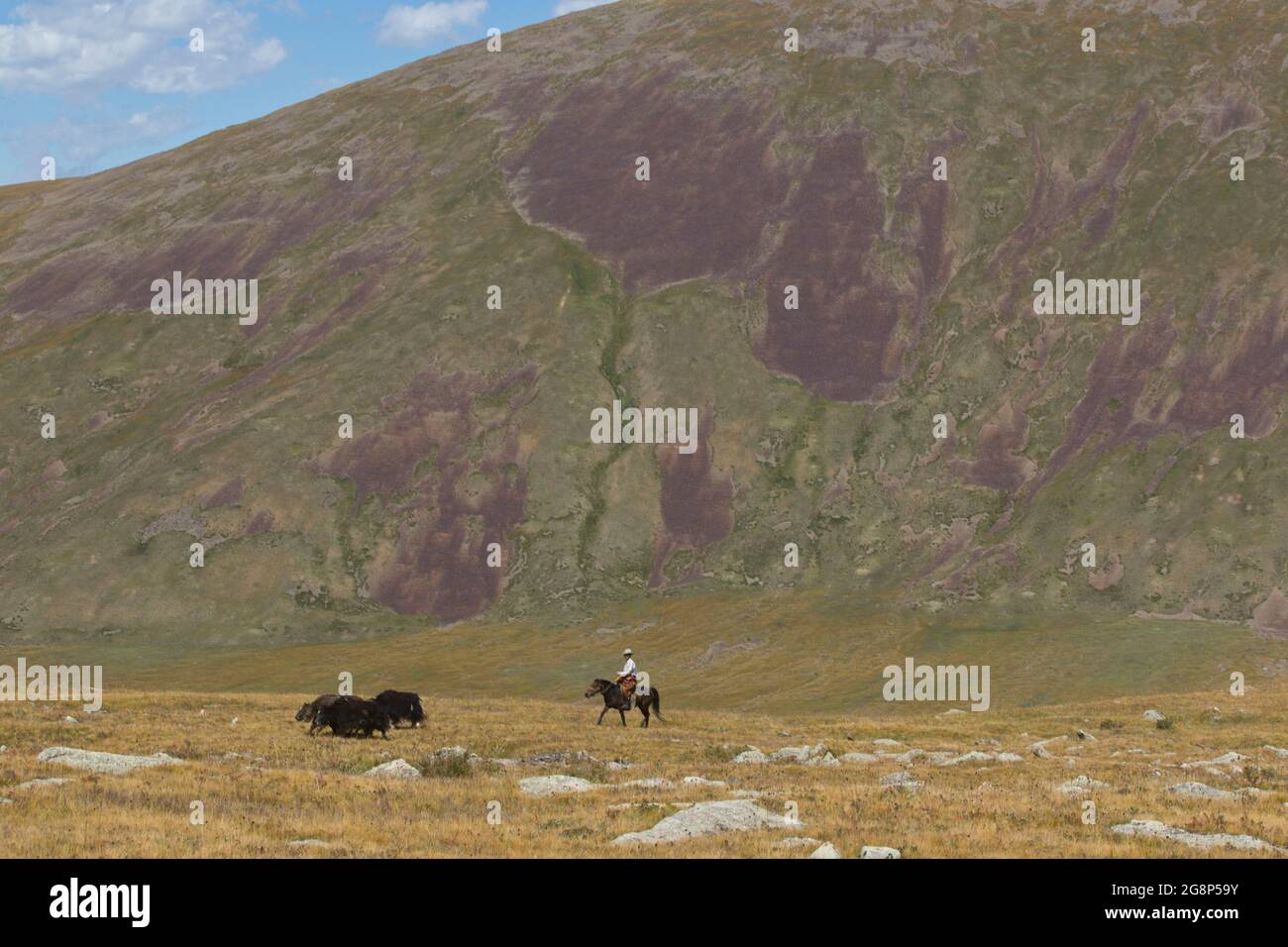 Landscape near Murui River, Mongolia, Cenral Asia, Asia Stock Photo - Alamy