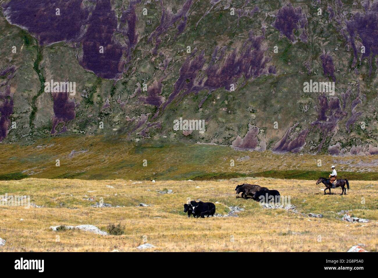 Murui river hi-res stock photography and images - Alamy